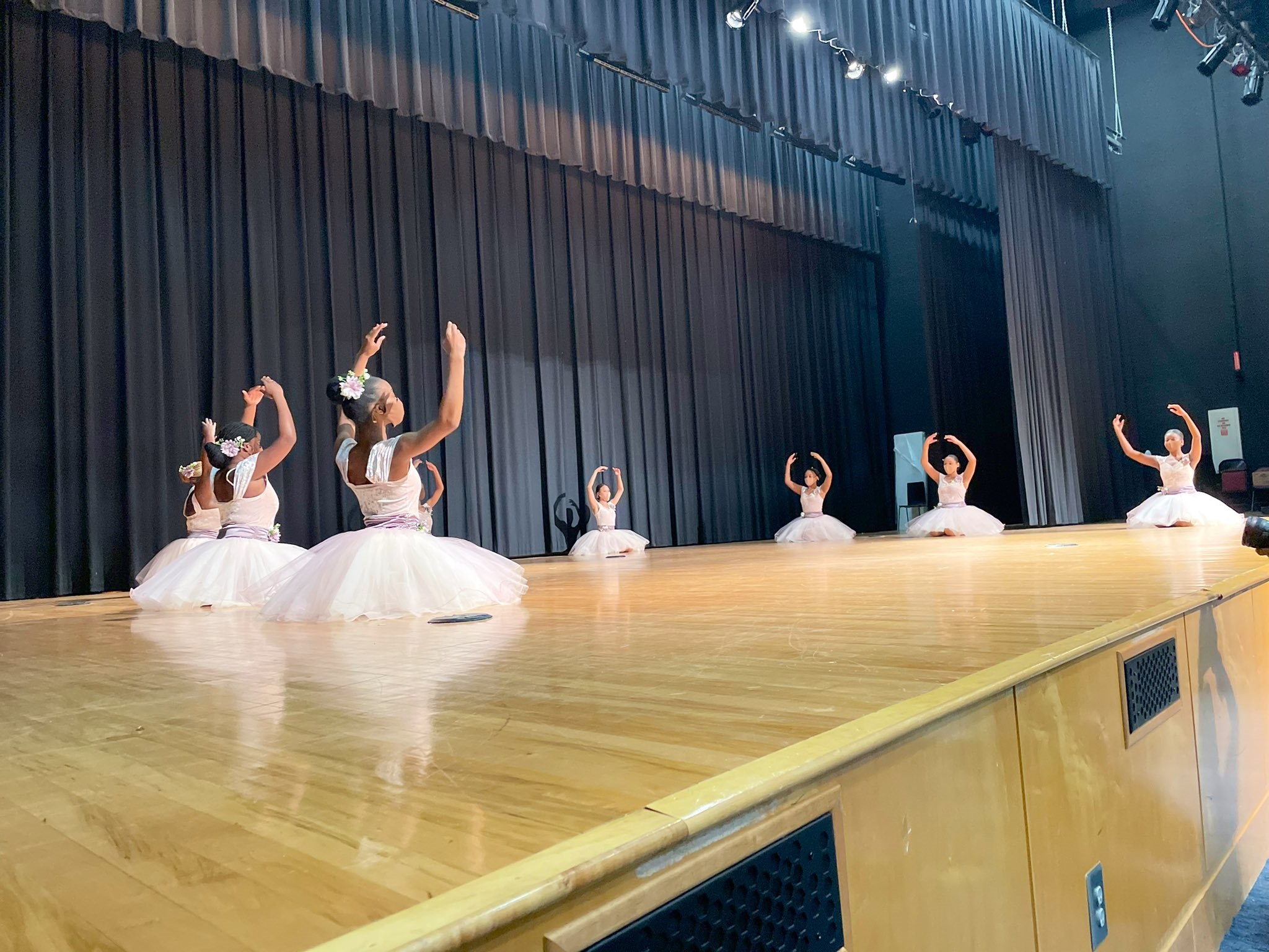 Ballet – APS Today